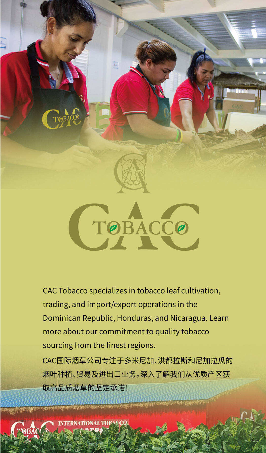 Cigar Ambassador